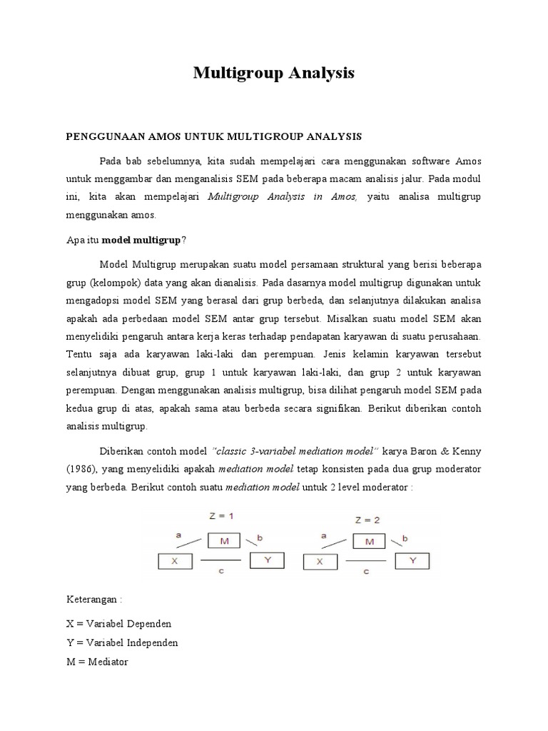 Multi Group Analisis | PDF