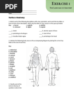 Anatomical Position Worksheet | PDF | Anatomical Terms Of Location ...
