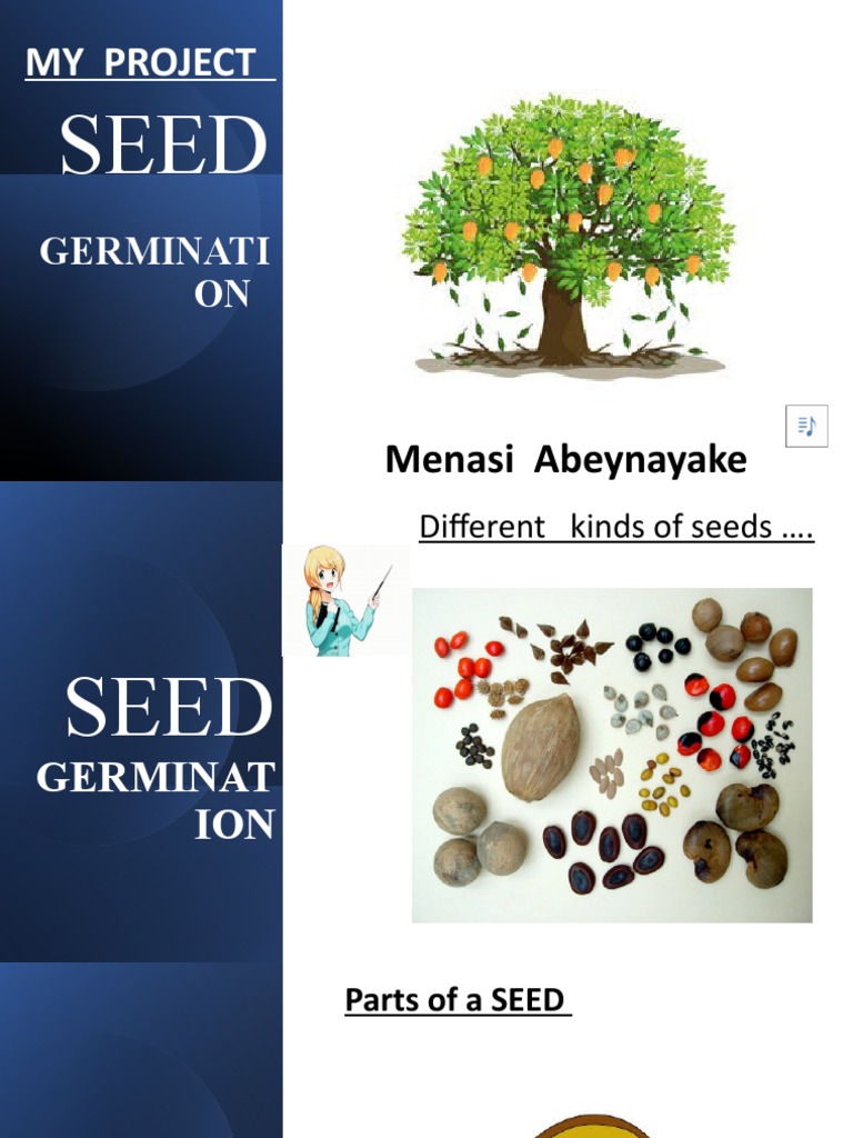 Seed Germination: The 6 Step Journey From Seed to Seedling | PDF