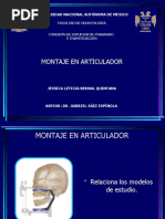 Analisis de Howes | PDF | Diente | Rasgos faciales