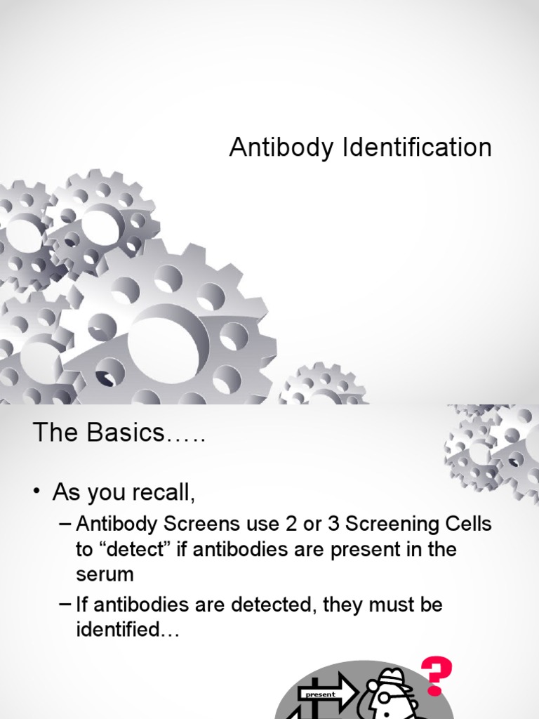 Antibody Panel | PDF | Antibody | Tissue (Biology)