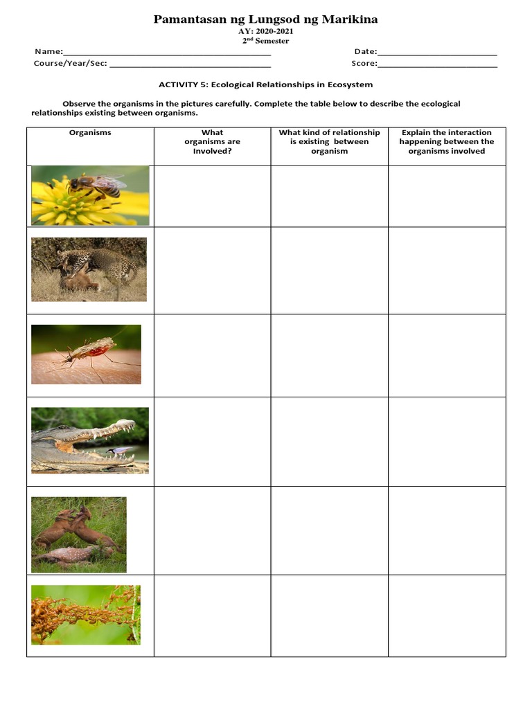 Ecological Relationships Activity Worksheet | PDF | Social Science ...