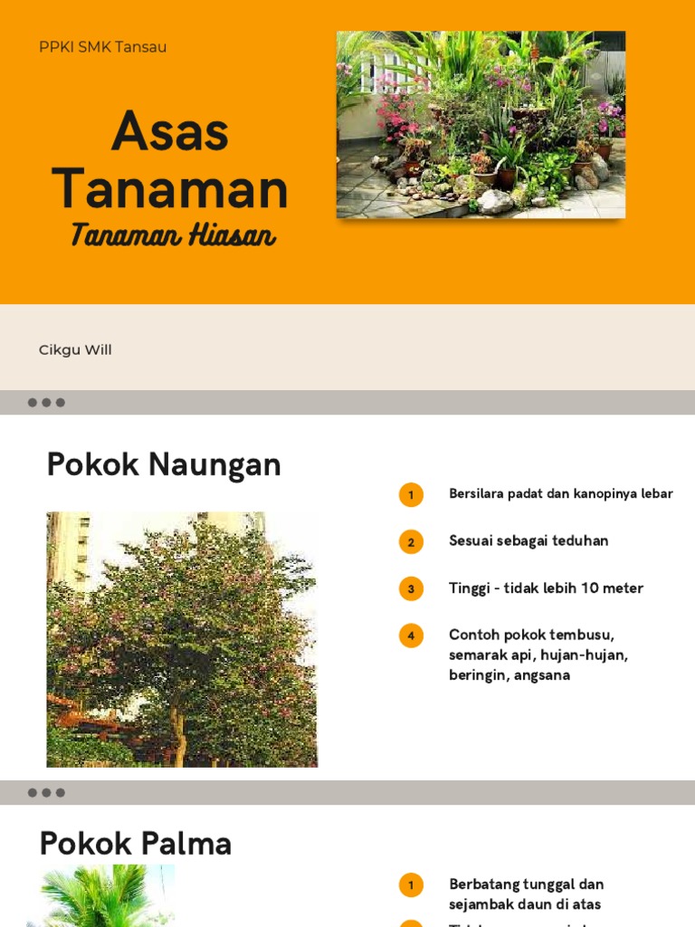 Jenis dan Ciri Tanaman Hiasan | PDF | Griya & Taman | Seni