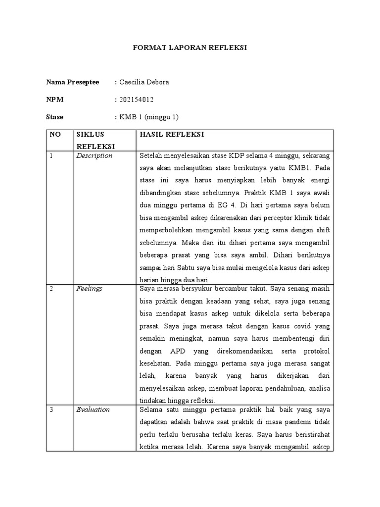 Format Laporan Refleksi | PDF