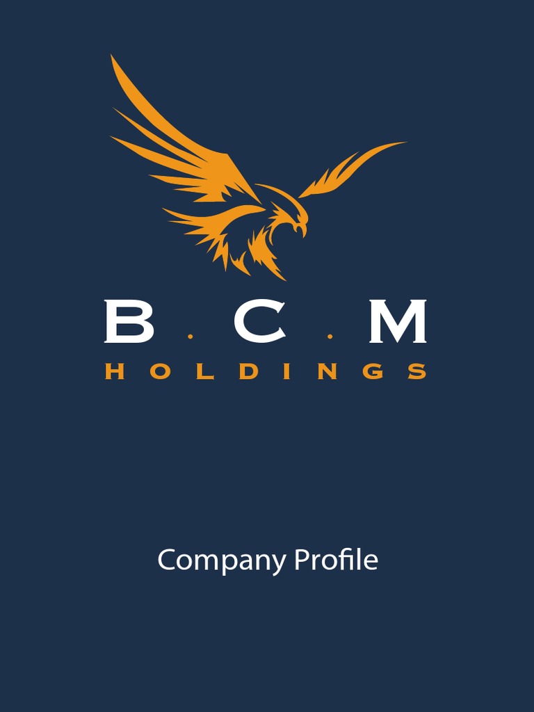 BCM BCM: Holdings | PDF | Cryptocurrency | Bitcoin