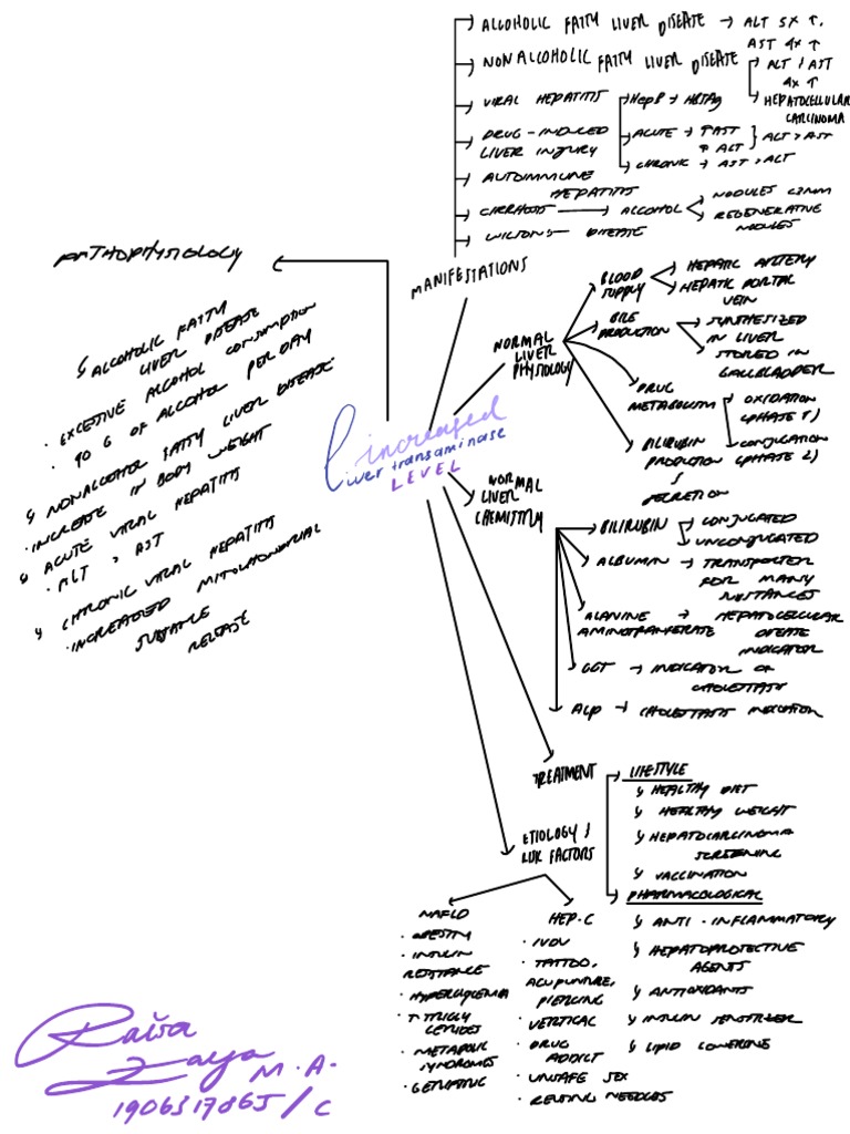 Mindmap PBL 4 GI - Raisa Zalfa Meutia Abubakar - 1906317865 | PDF | Liver | Organ (Anatomy)