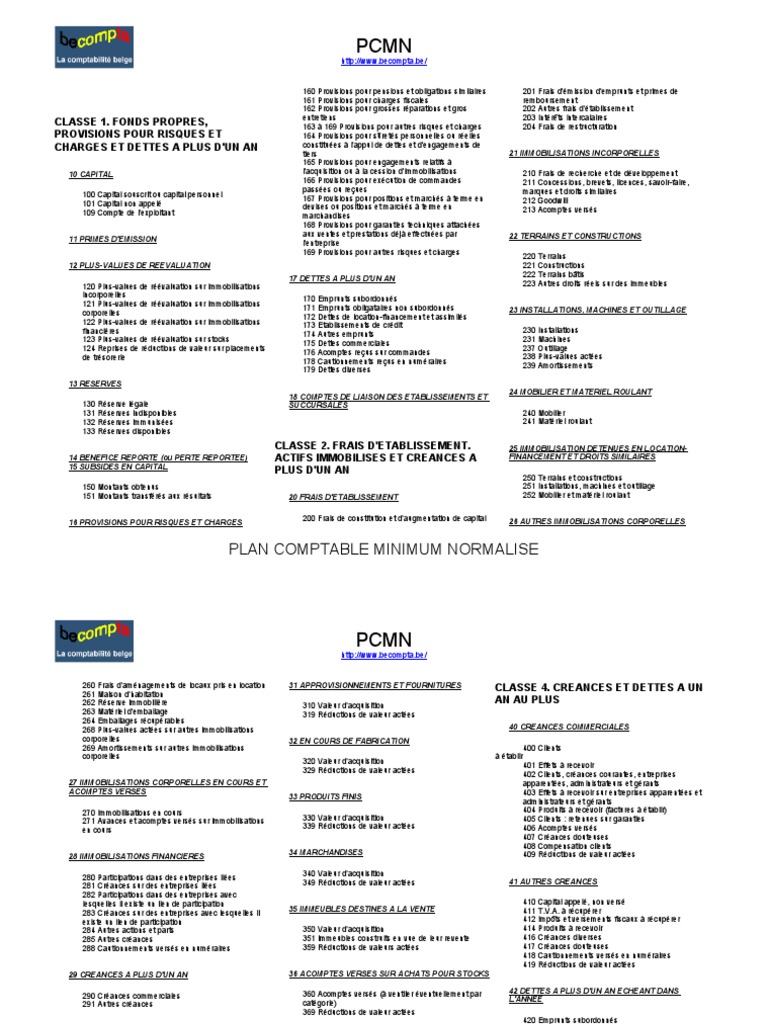 Plan Comptable Minimum Normalisé (PCMN) | PDF | Immobilisations | Prêts