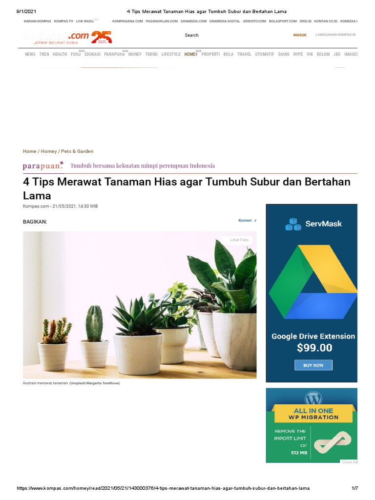 4 Tips Merawat Tanaman Hias Agar Tumbuh Subur Dan Bertahan Lama | PDF | Kesehatan Holistik