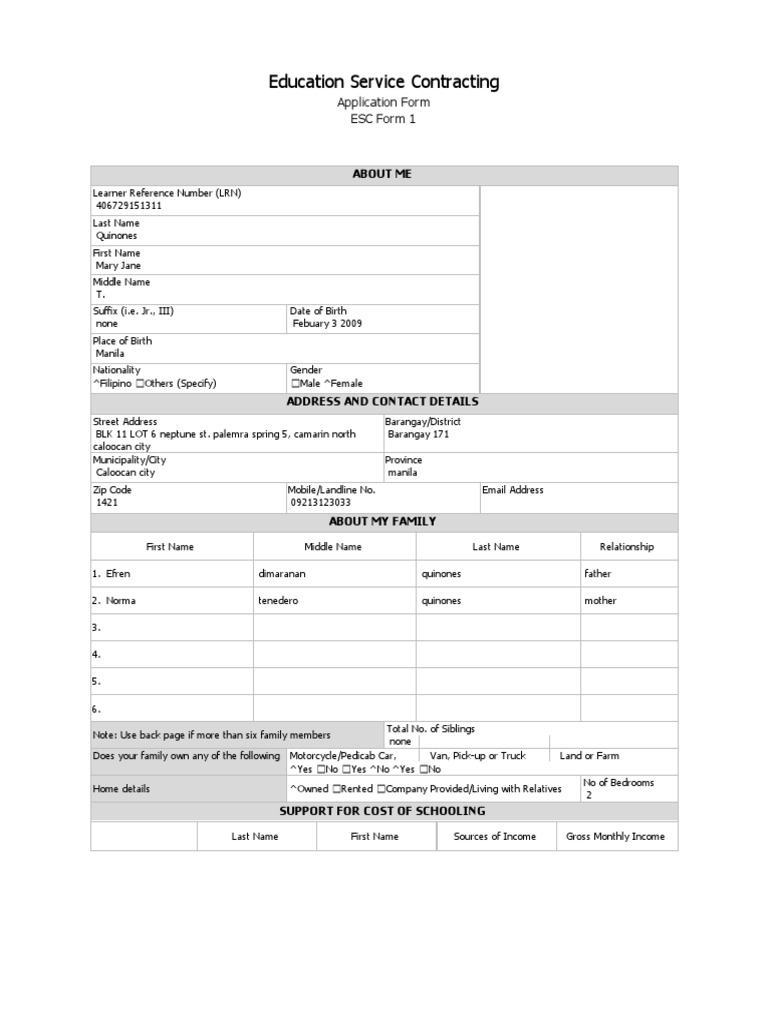 ESC Application Form-QUINONES | PDF | Self Employment | Small Business ...