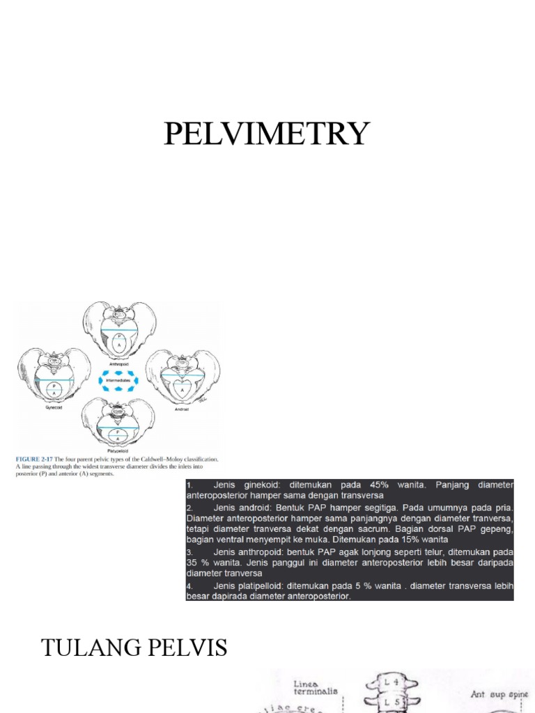 PELVIMETRI | PDF