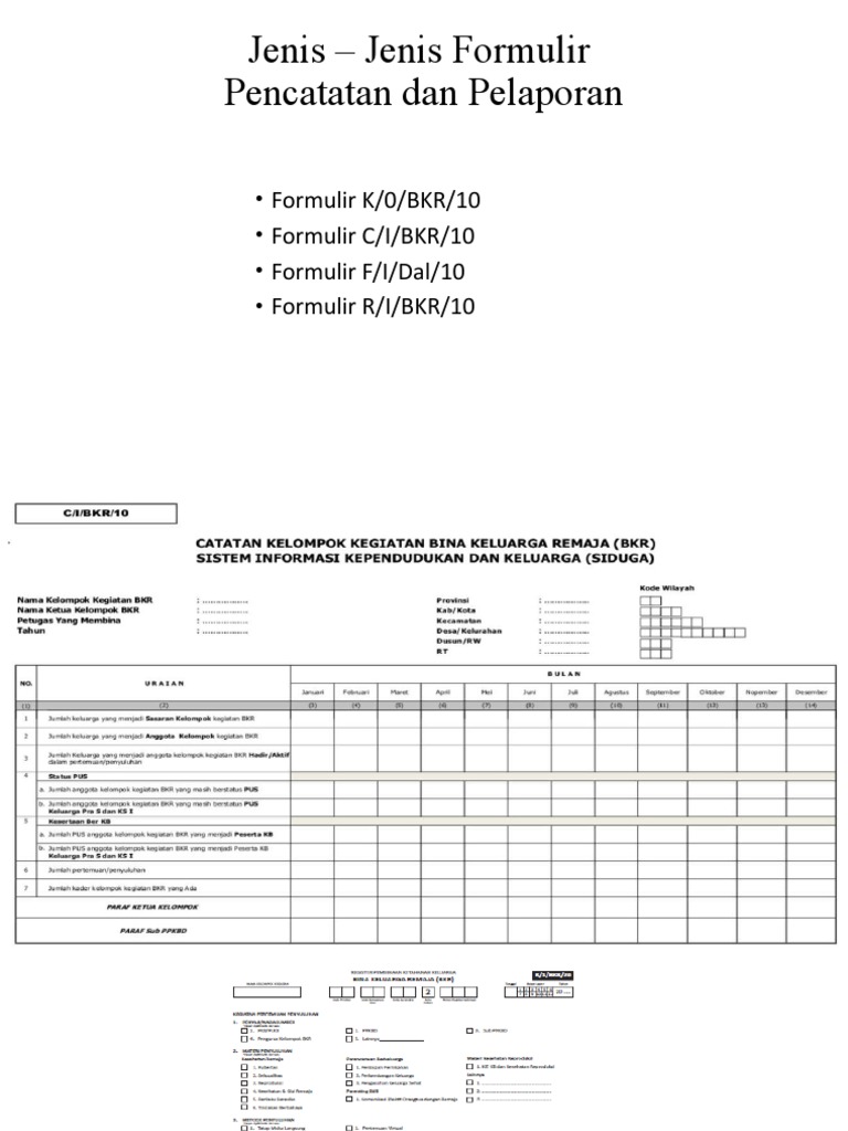 Pencatatan Pelaporan BKR | PDF