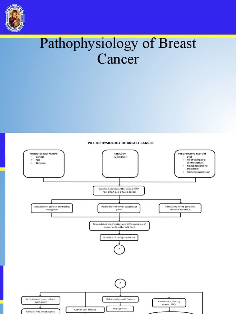 Pathophysiology of Breast Cancer | PDF