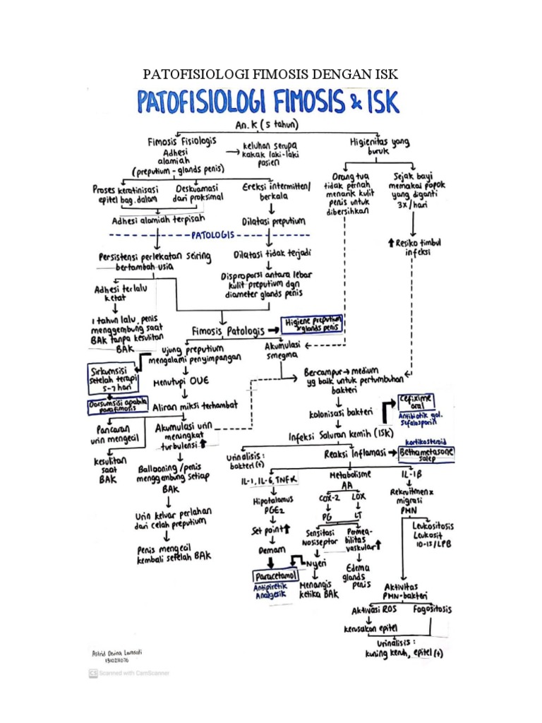 SM Kasus 2 - PATOFISIOLOGI FIMOSIS DENGAN ISK | PDF