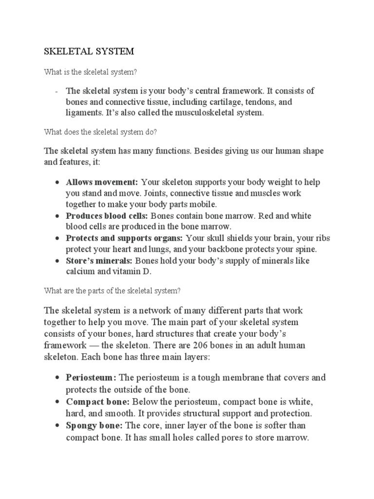 Skeletal Muscular System | PDF | Skeleton | Bone