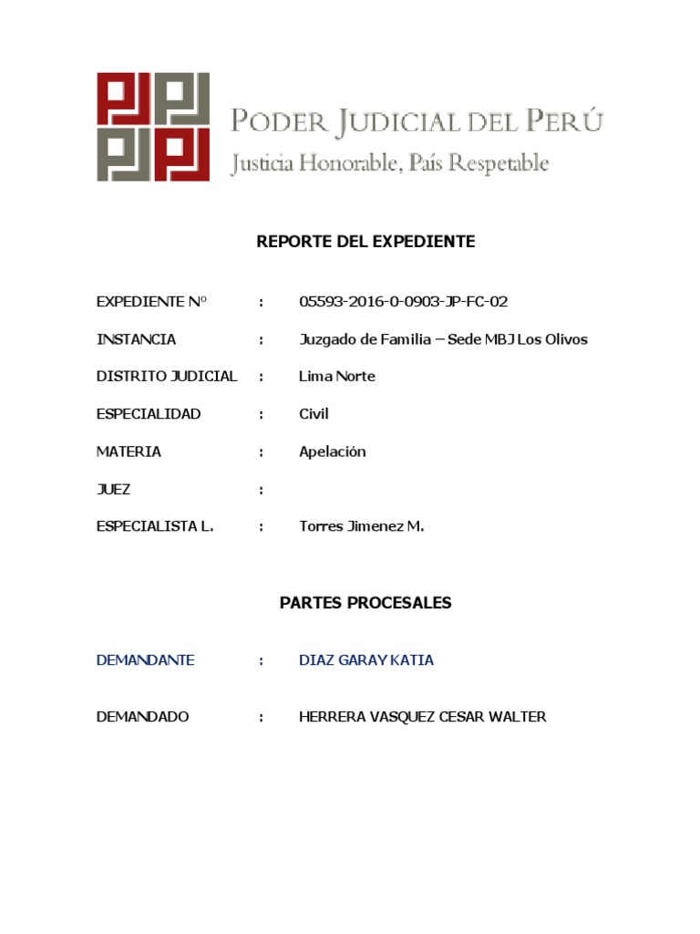 Caratula - Reporte Del Expediente | PDF