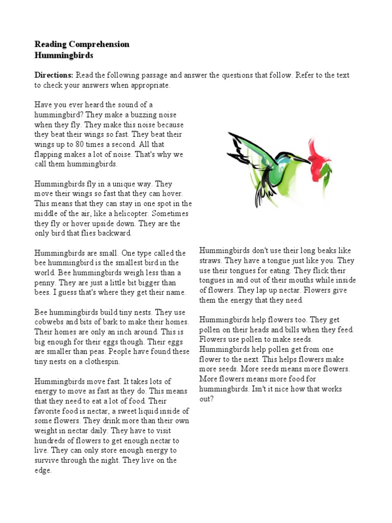 Reading Comprehension Hummingbirds | Download Free PDF | Flowers | Bees