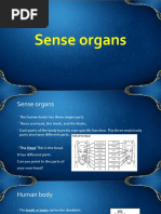 Sense Organs Worksheets for Kids | PDF