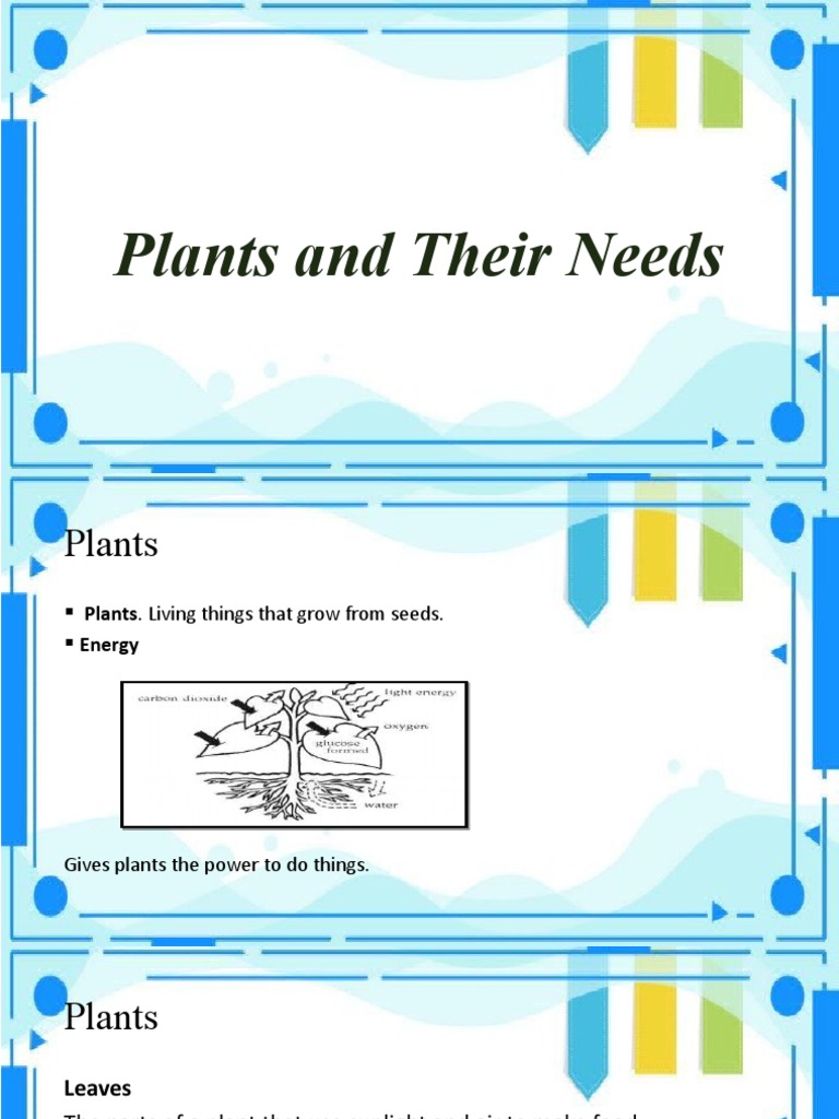 Plants and Their Needs | PDF | Plants | Flowers