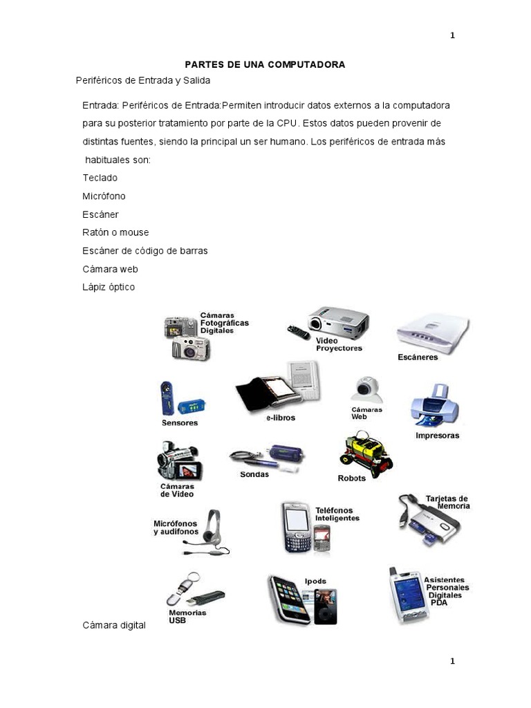 Partes Internas de Una Computadora | PDF | Periférico | Hardware de la ...