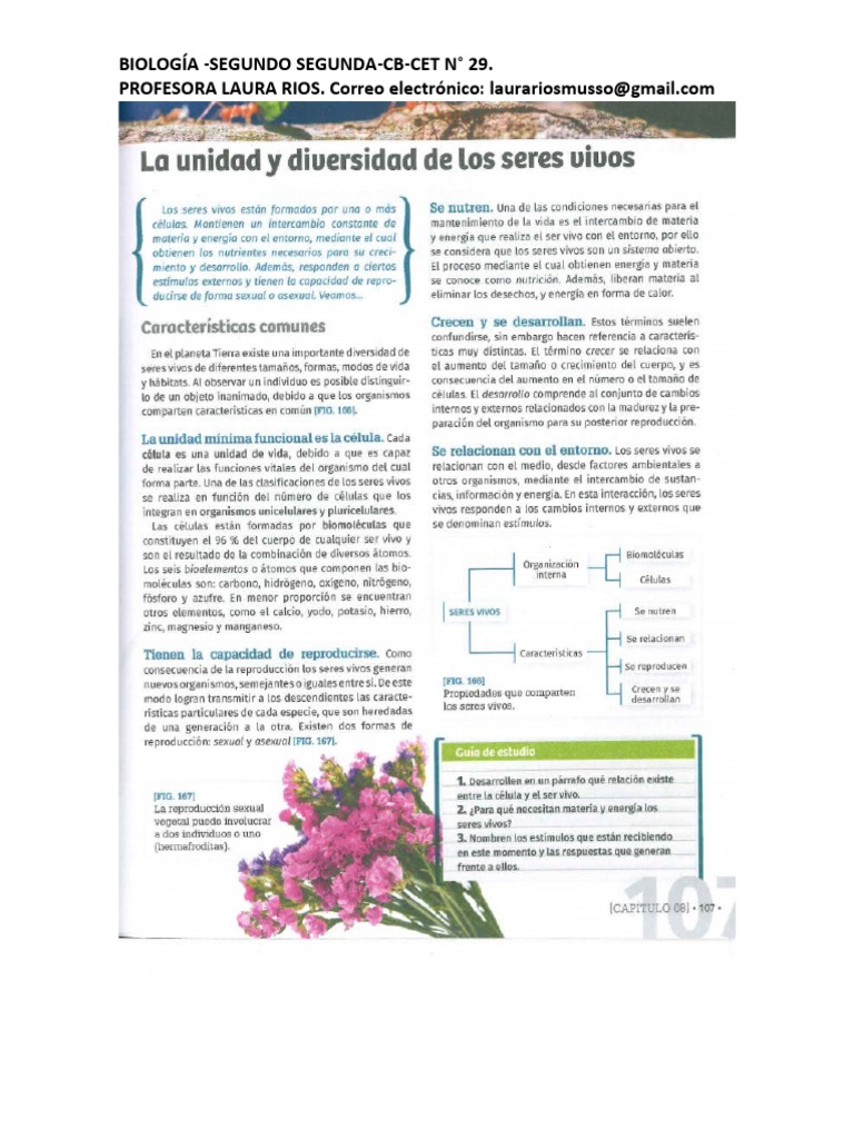 Actividad 1 Cuadernillo 2do Año Pdf