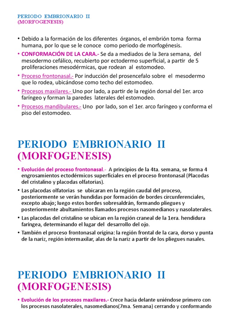Morfogénesis Embrionaria: Desarrollo Facial | PDF | Anatomía