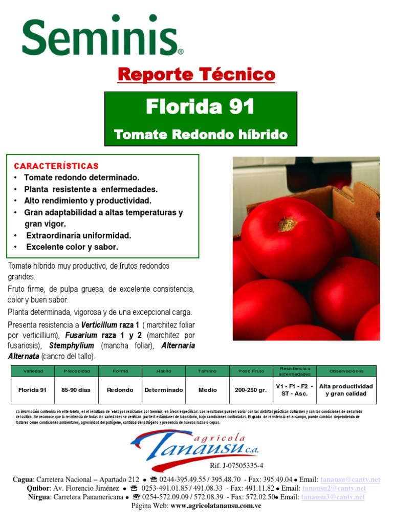 Variedades De Tomates Para Florida