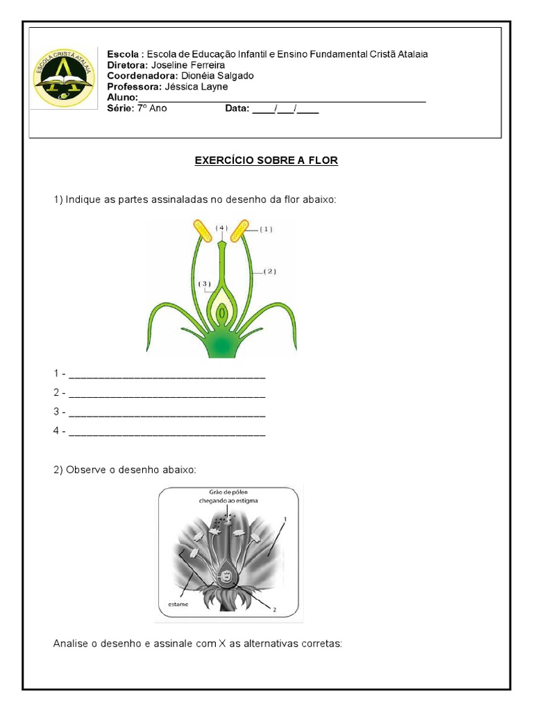 Partes da flor: exercício de identificação e funções reprodutivas | PDF