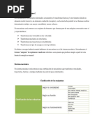 Partes de Una Prensa Hidráulica | PDF | Ingeniería mecánica | Energía y ...
