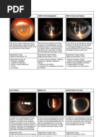 Metodo de Donders y de Sheard | PDF | Visión | Naturaleza