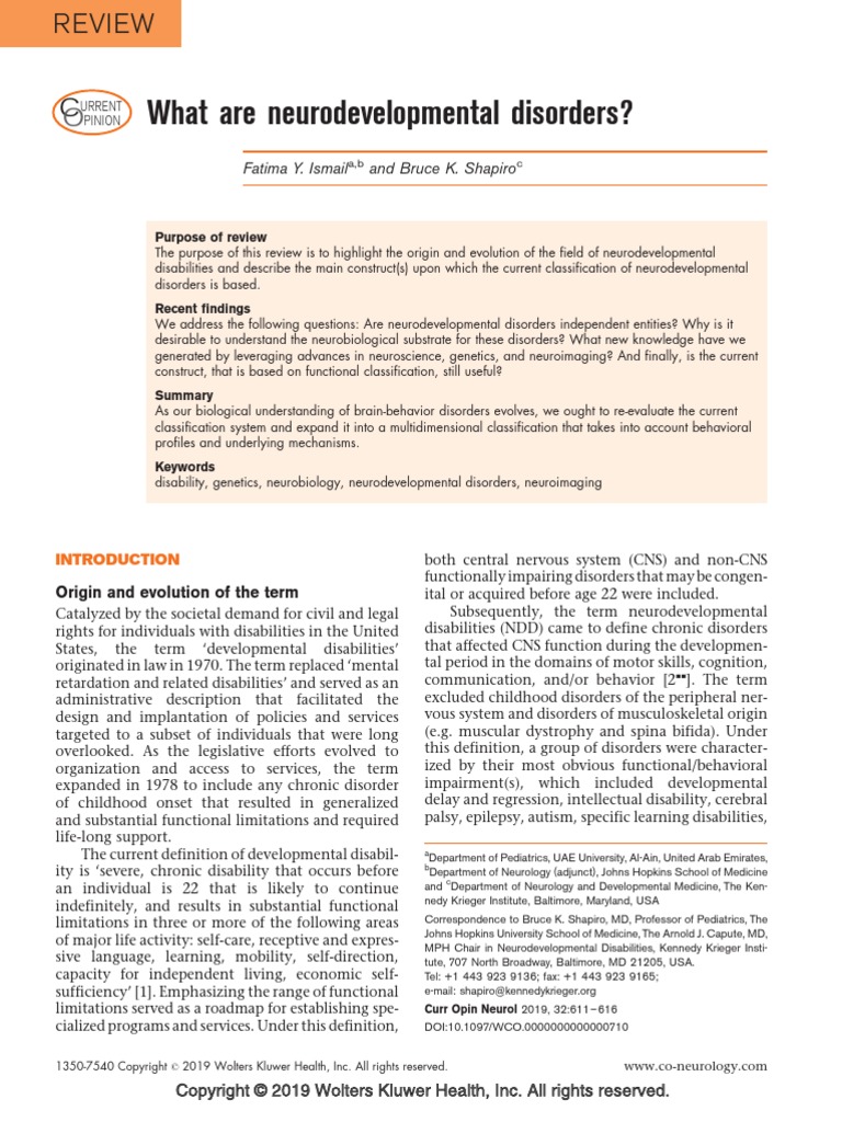 What Are Neurodevelopmental Disorders | PDF | Attention Deficit ...
