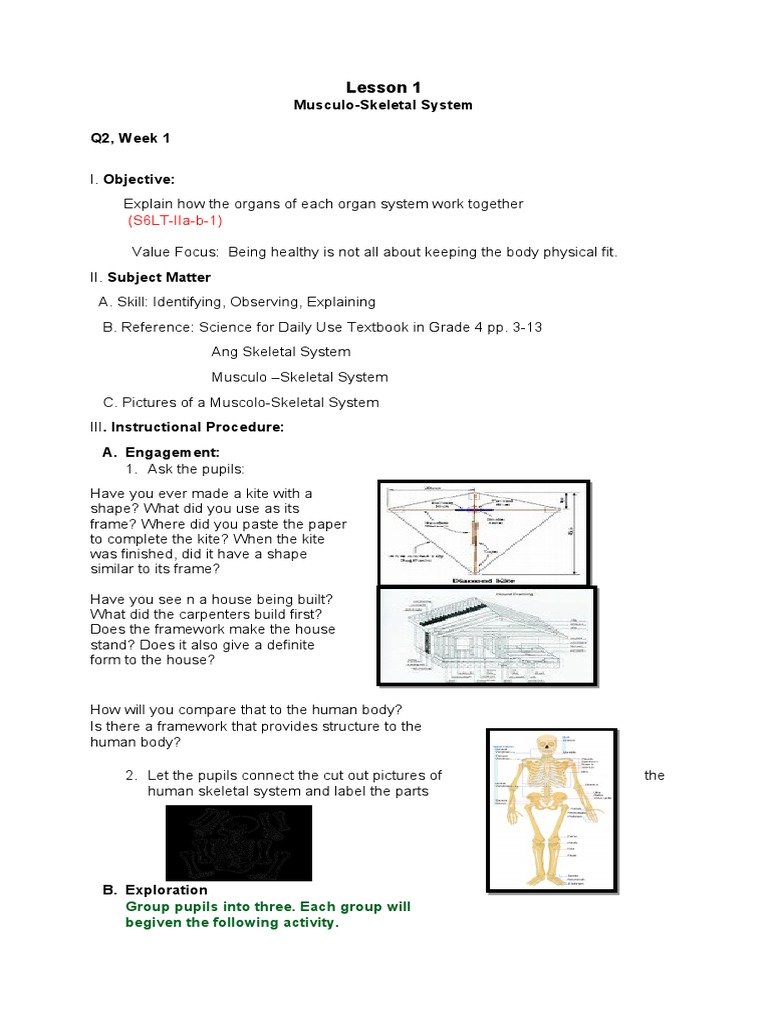Lesson 1: Musculo-Skeletal System Q2, Week 1 | PDF | Muscle | Bone