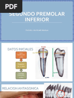 Segundo Molar Inferior | PDF | Ramas de Odontología | Boca