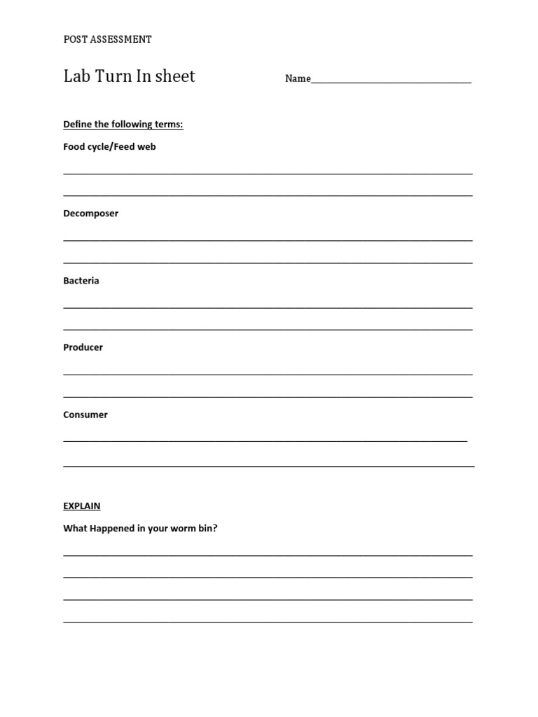 Lab Turn in Sheet | PDF