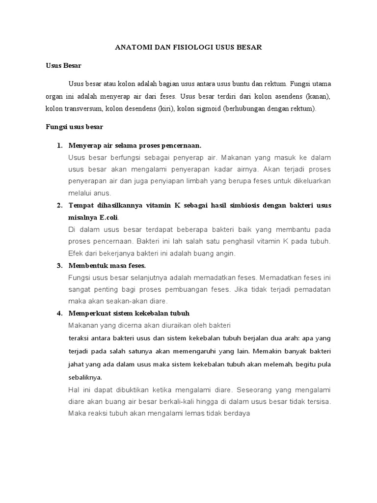 FUNGSI DAN STRUKTUR USUS BESAR | PDF