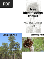 Tree Identification Key Printable: Click Here To Download | PDF ...