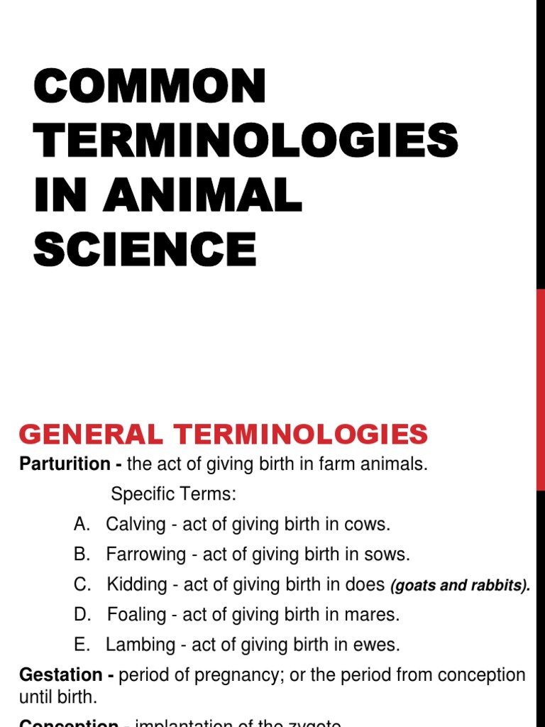 Key Terms in Animal Science | PDF | Sheep | Mare