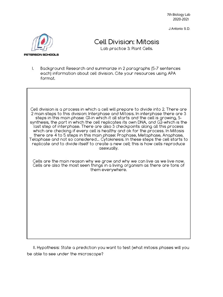 Onion Mitosis Lab | PDF | Mitosis | Biology