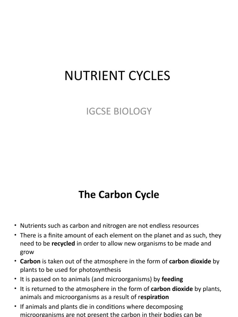 Nutrient Cycles: Igcse Biology | PDF | Water | Nitrogen