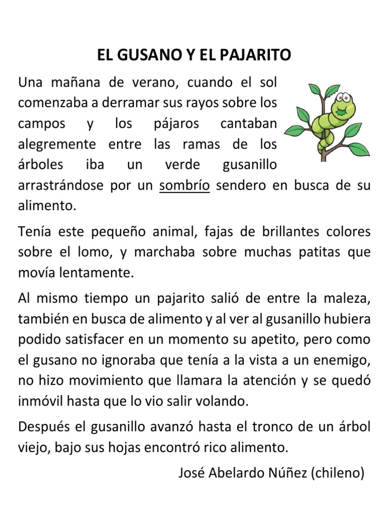 El gusano y el pajarito: cuento infantil | PDF | Hogar, jardinería y ...