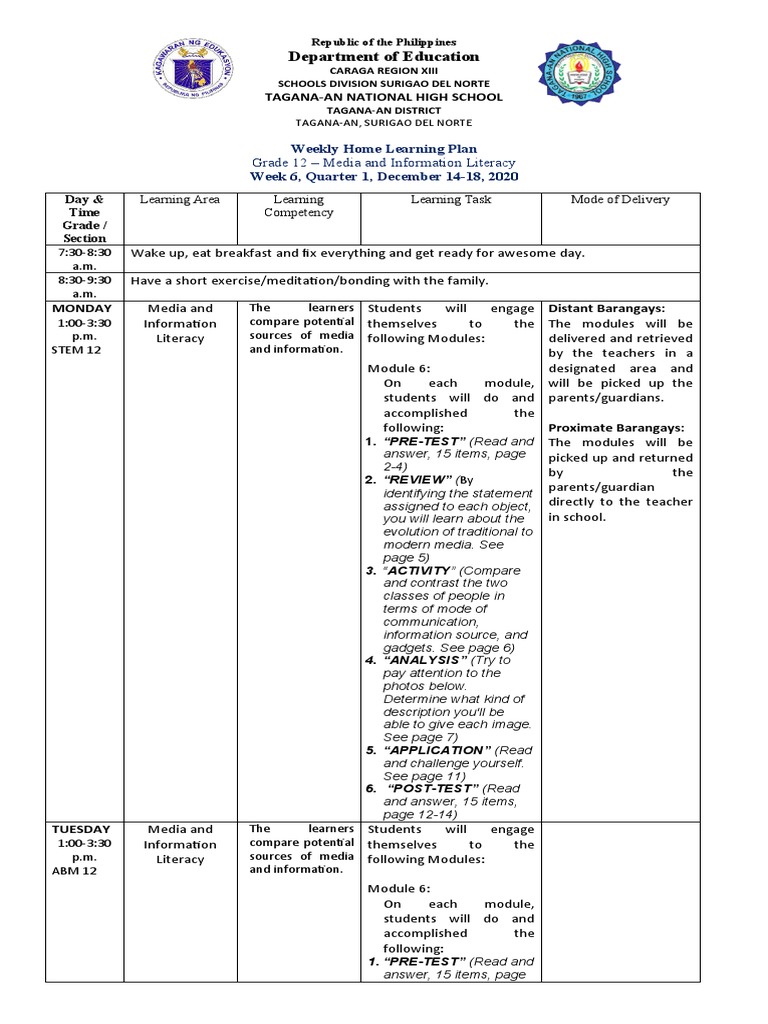Module 6 Mil WHLP | PDF | Learning | Literacy