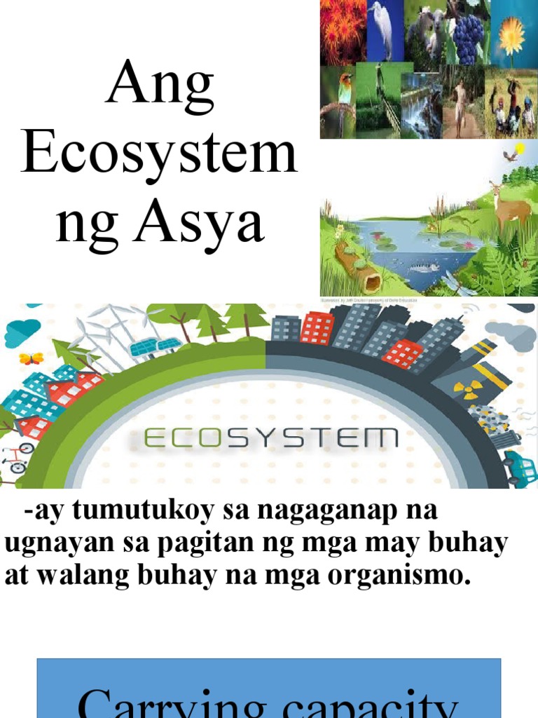 Ang Ecosystem NG Asya | PDF