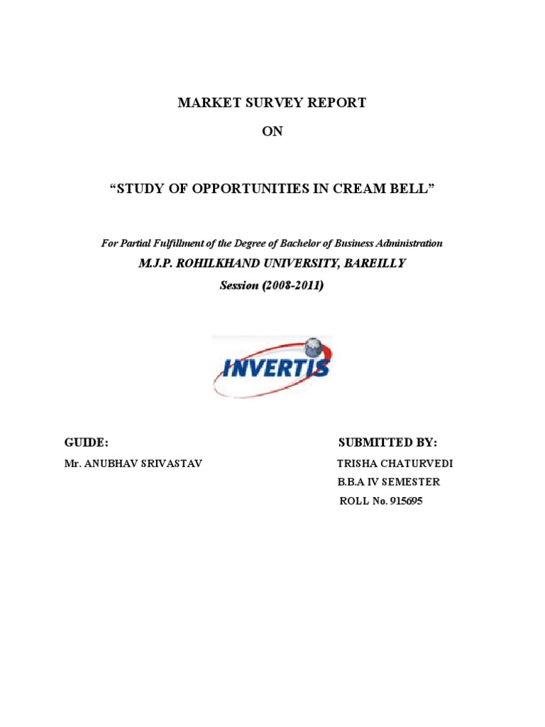 market-survey-report