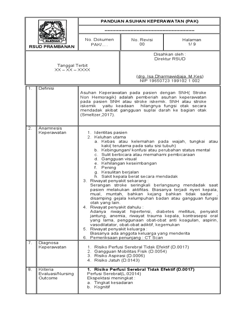 Panduan Asuhan Keperawatan (Pak) | PDF