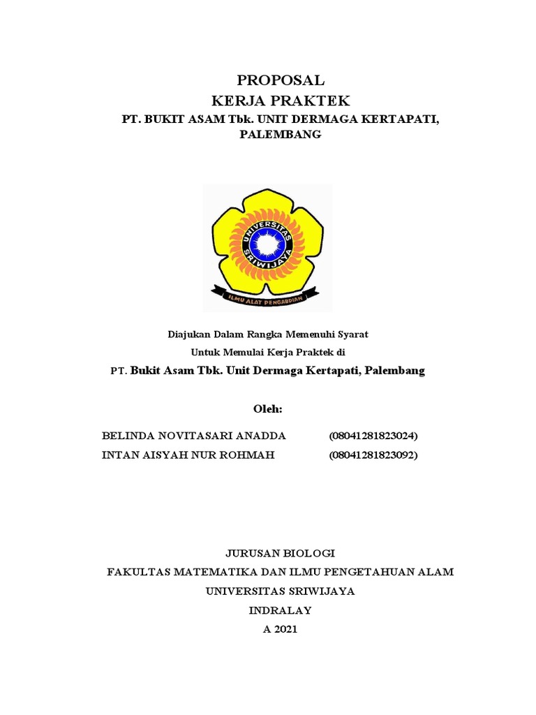 Proposal Kerja Praktek di Bukit Asam | PDF