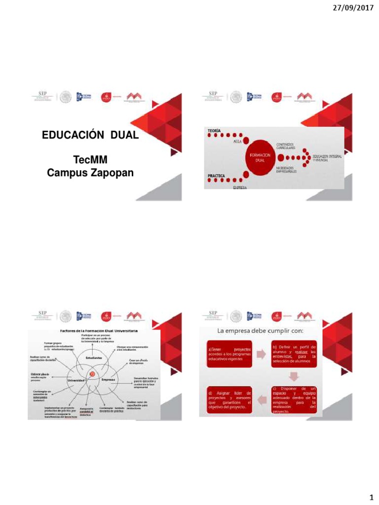 Modelo Dual | PDF