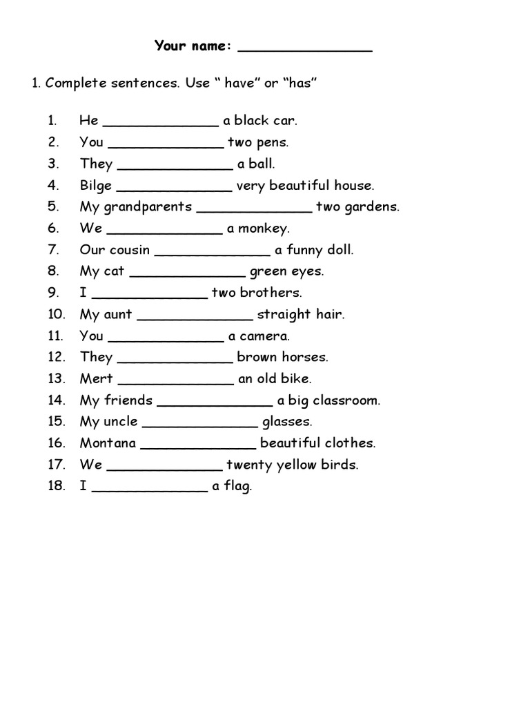 Have Has Exercise | PDF