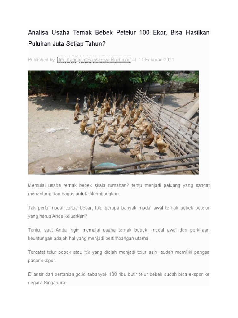 Analisa Usaha Ternak Bebek Petelur 100 Ekor | PDF Analisa Usaha Ternak Bebek Petelur 100 Ekor | PDF