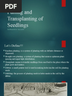 g10 Pulling and Transplanting of Seedlings | PDF | Science & Mathematics