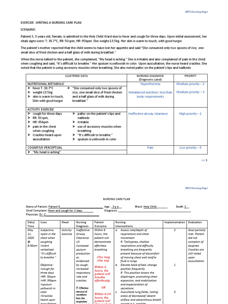 NCP Example | PDF | Respiratory Tract | Mucus