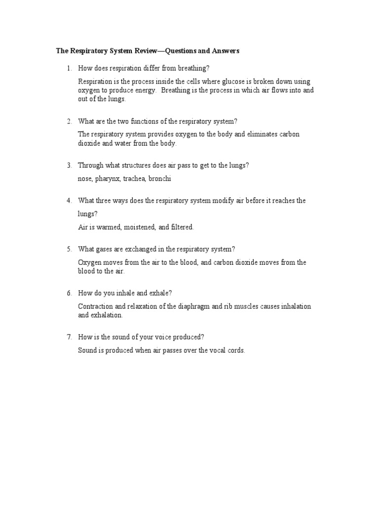 The Respiratory System Review-Questions and Answers | PDF | Science ...